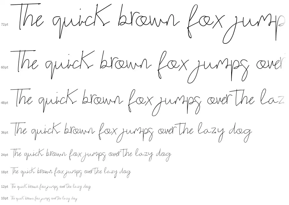 Stella Signature font by Handles Creative | FontRiver