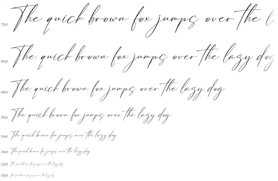 Strongela Delmonte font by Perspectype Studio | FontRiver