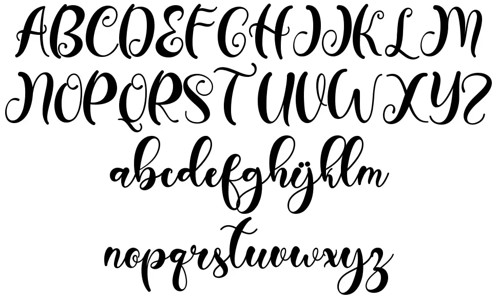 Summer Monogram Script font by Yoga Letter | FontRiver