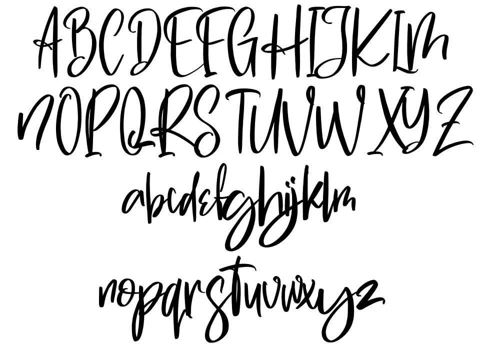 Swite Brush font by Integritype Studio | FontRiver