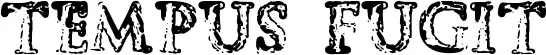 Tempus Fugit font by Woodcutter | FontRiver