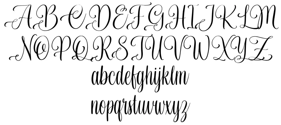 The Beautiful Secret font by Octotype | Thomas Boucherie | FontRiver