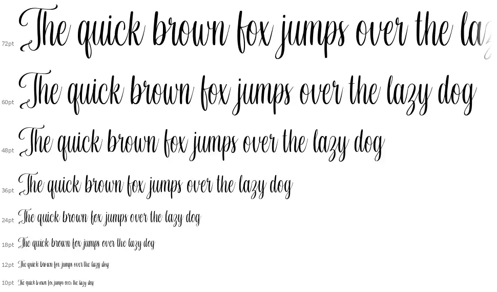 The Beautiful Secret font by Octotype | Thomas Boucherie | FontRiver