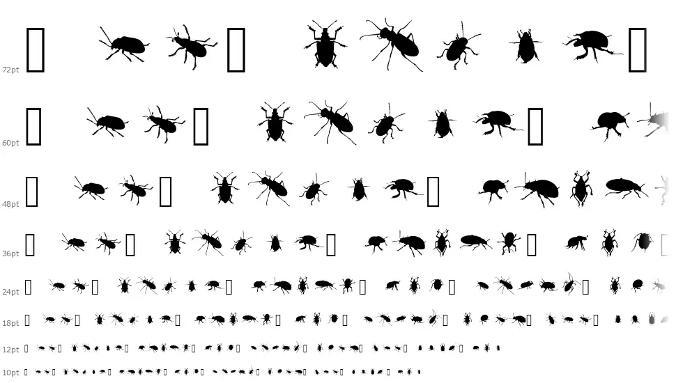 The Beetles font by Fabiane Lima | FontRiver