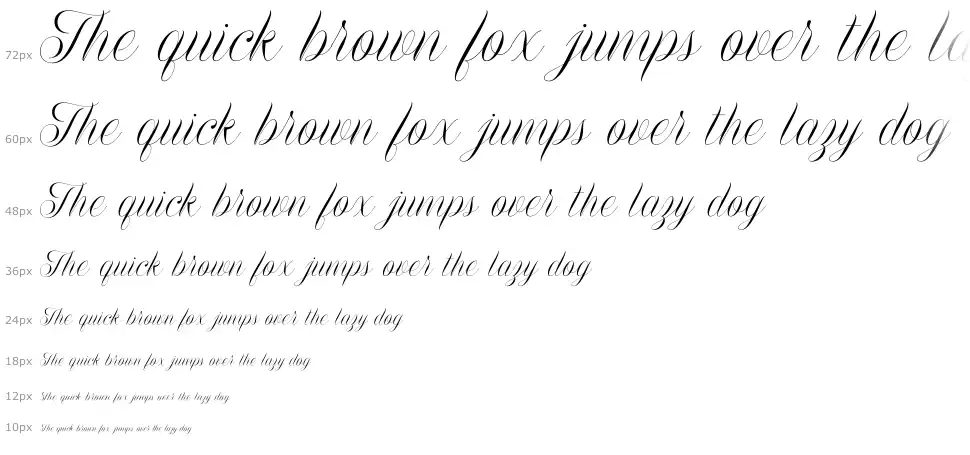 The Flourish font by Doehantz Studio | FontRiver