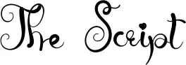 The Script font by Eddy Goodboy | FontRiver