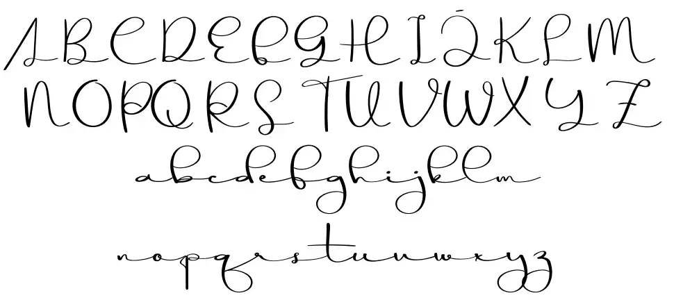 The Signature font by Erik Studio | FontRiver