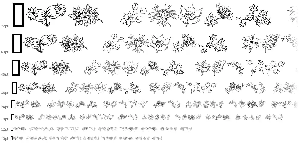 Traditional Floral Design font by House of Lime | FontRiver