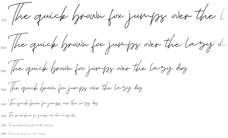 Tropical Summer Signature font by blue studio09 | FontRiver