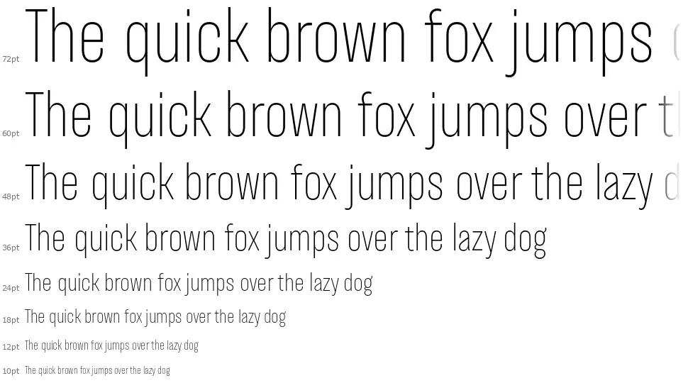 TT Backwards Script font by TypeType Foundry | FontRiver