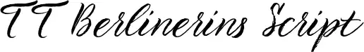 TT Berlinerins Script font by TypeType Foundry | FontRiver