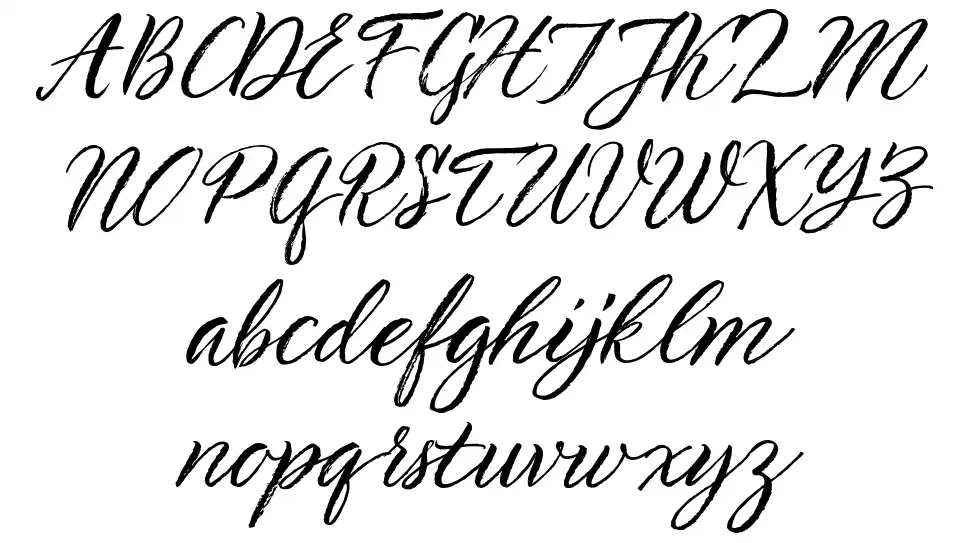 TT Berlinerins Script font by TypeType Foundry | FontRiver