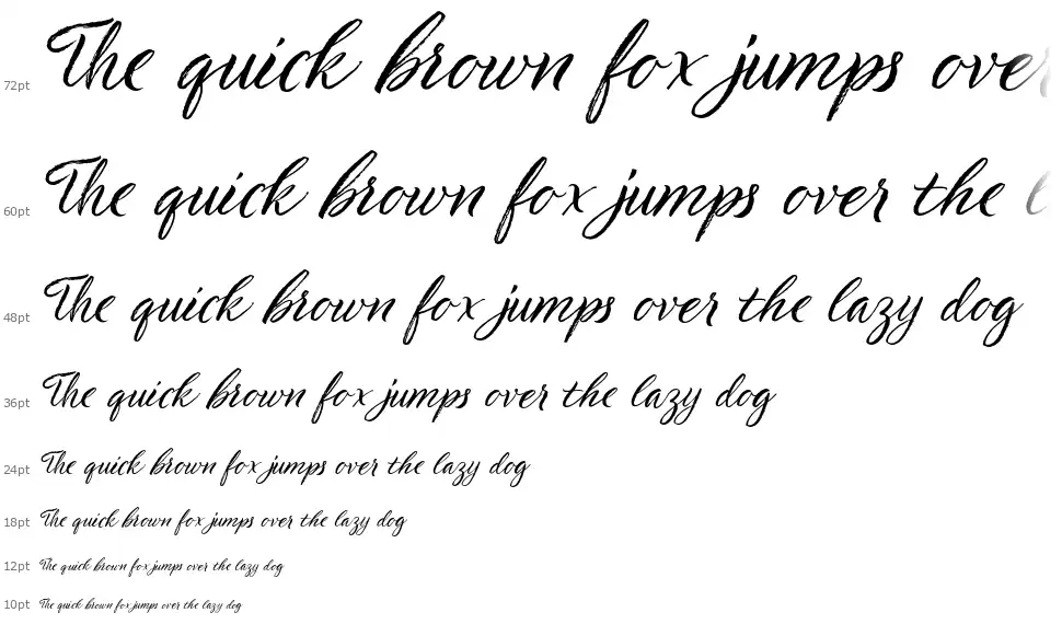 TT Berlinerins Script font by TypeType Foundry | FontRiver
