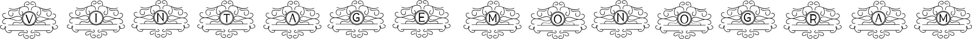 Vintage Monogram font by Letterday Studio | FontRiver