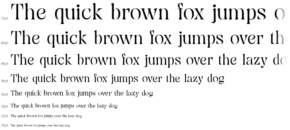 Viory font by SIGN Studio | FontRiver