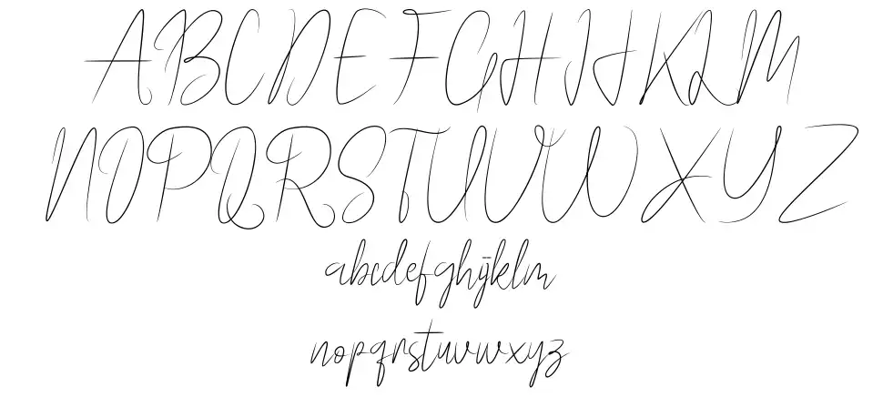Wallet Signature font by selawetype | FontRiver