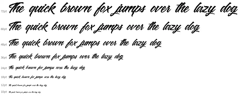 Washington Basketball font by Octotype | FontRiver