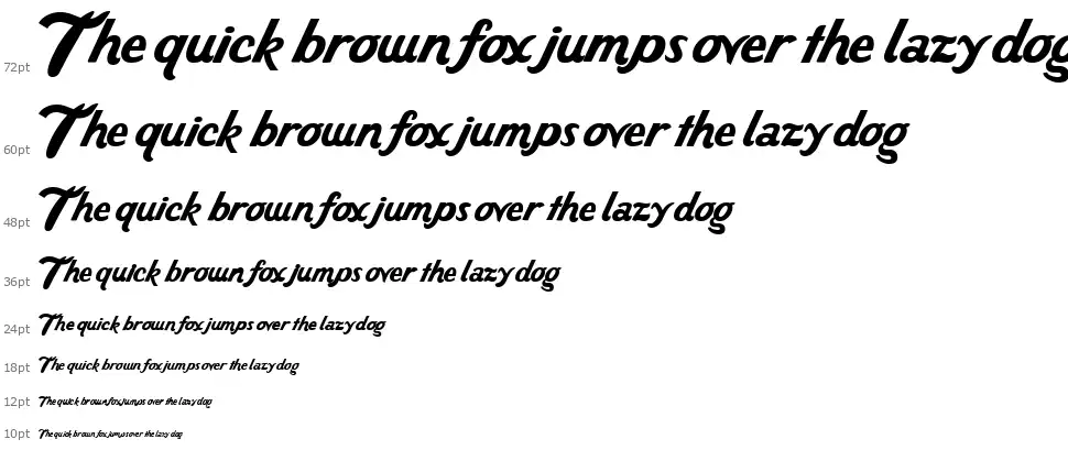 Wild Ride font by FontMesa | FontRiver