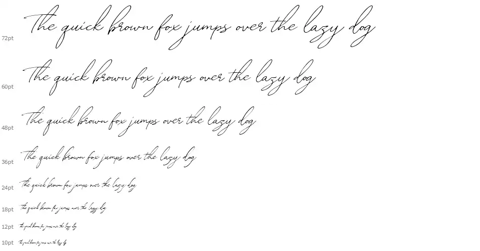 William Letter Signature font by Letterhend Studio | FontRiver