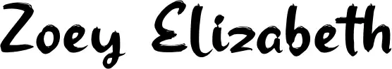 Z Fonts